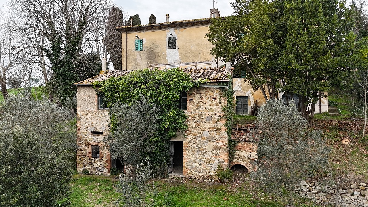 #15 New Year, New Discoveries