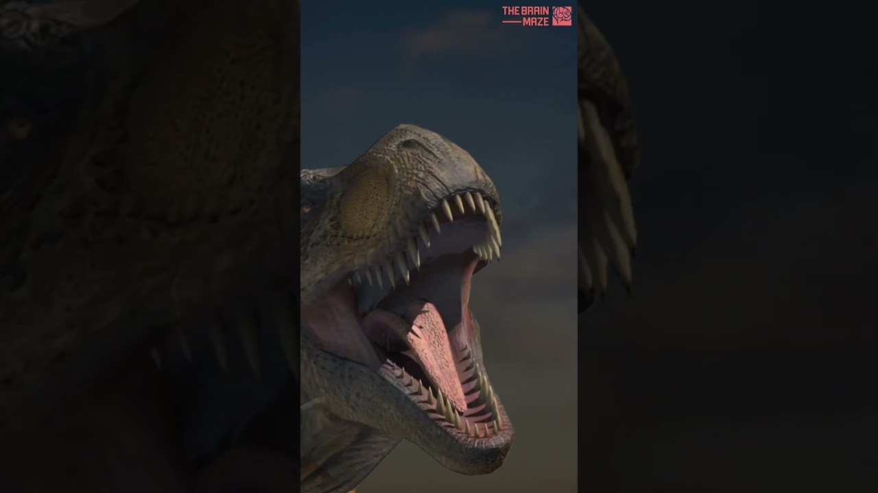 Dinosaur Size Comparison