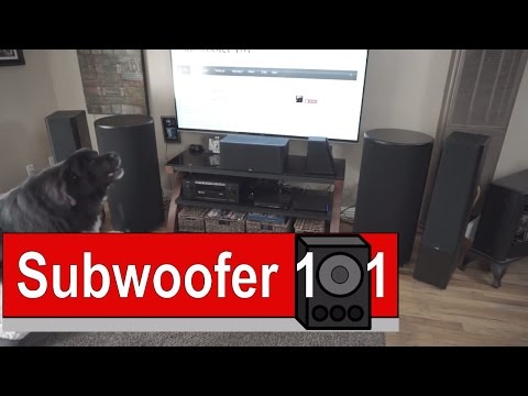 SVS PC 2000 Ported Subwoofer Review (wait for it...Bear Dog!)
