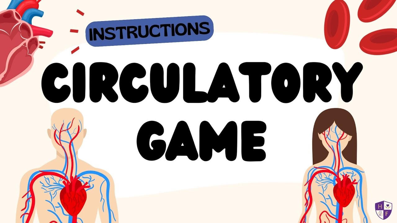 Circulatory Game Instructions