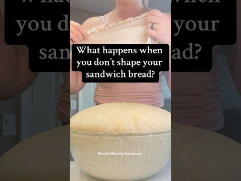 Not shaping my #sourdough sandwich bread #breadmaking #sourdoughbread #shaping #baking
