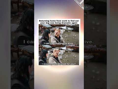 Returning home from work to find out your dog was being dramatic - Meme | DYMABASE SHORTS #meme