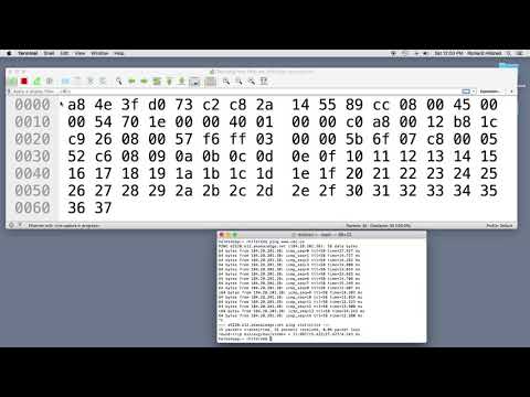 How computers use bits and bytes to talk to each other.