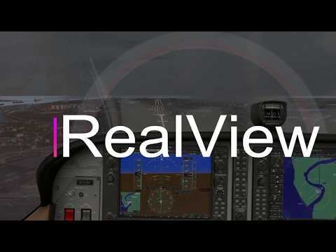 RealView for X-Plane 11. Realistic head movement, camera shaking, g-force effects, audio, etc