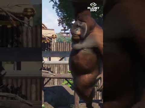 🦧 Bornean Orangutans Brachiation - Planet Zoo Free Update 1.15 #planetzoogame #short