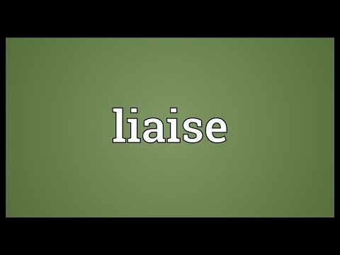 Liaise Meaning