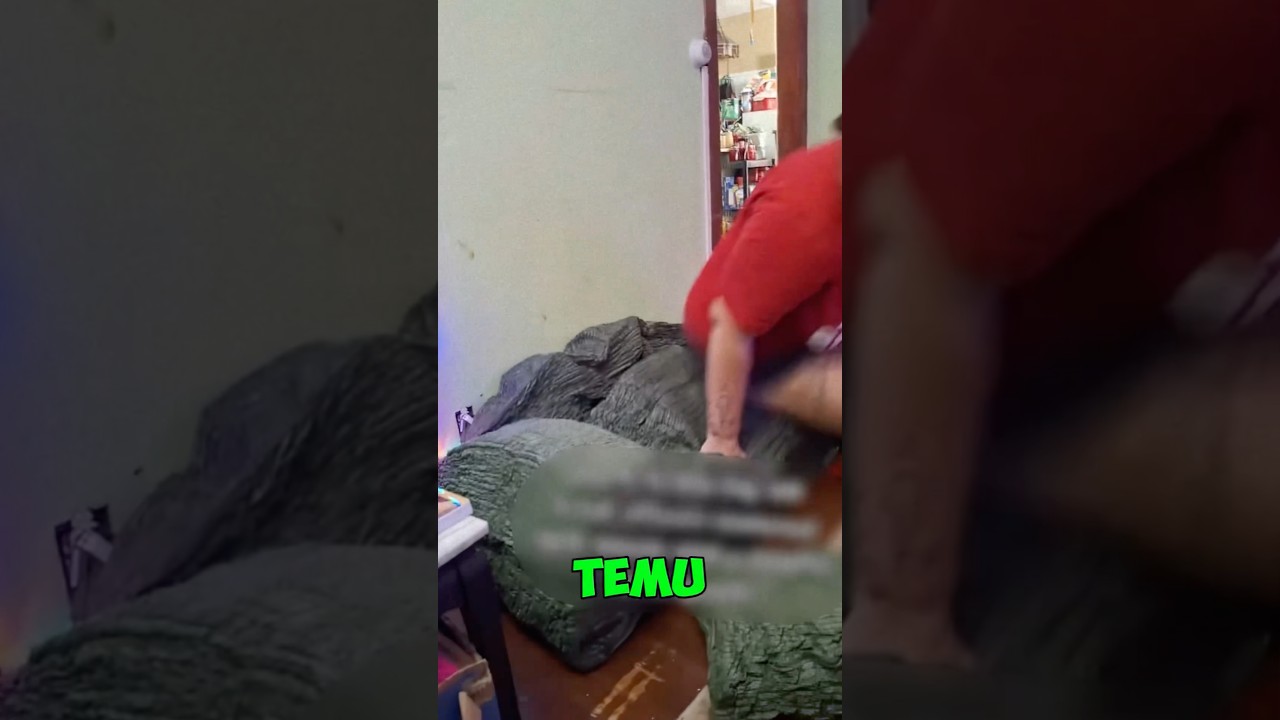 Our Temu Couch Was A JOKE... 🤣