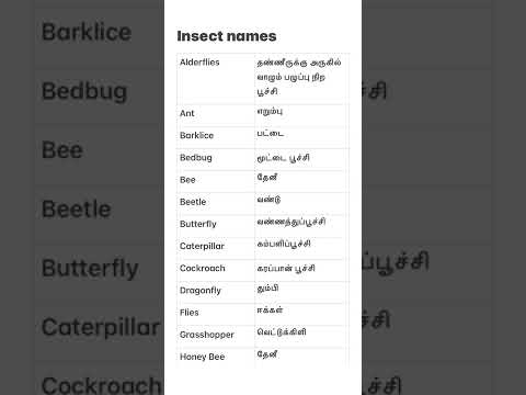 Insects names English / Tamil