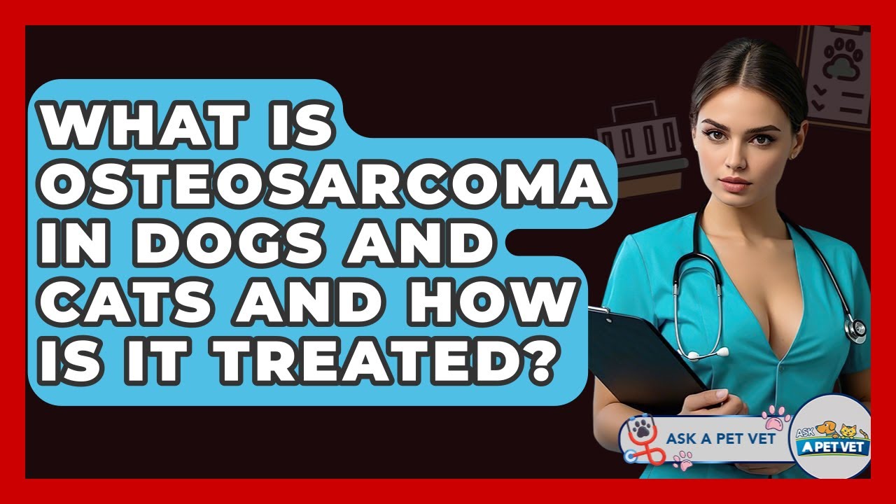 What Is Osteosarcoma In Dogs And Cats And How Is It Treated? - Ask A Pet Vet