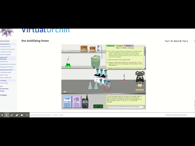 Understanding Ocean Acidification Through a Virtual Lab Experiment | Magica