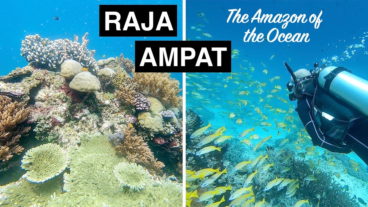 Scuba Diving in Raja Ampat, Indonesia | Breathtaking Underwater Paradise