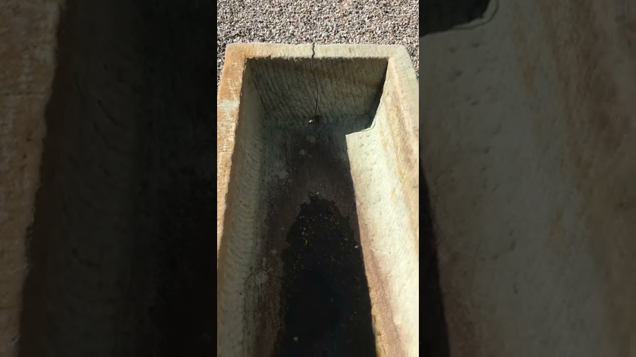 Farm Sink Limestone Trough