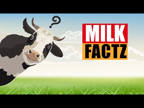 Where Does Milk Come From?