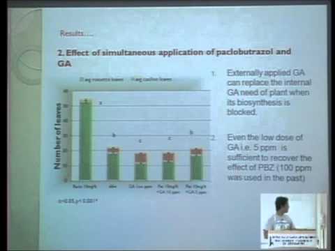 The Pears Webinar in Plant Sciences - Mr. Raj Kumar Thapa