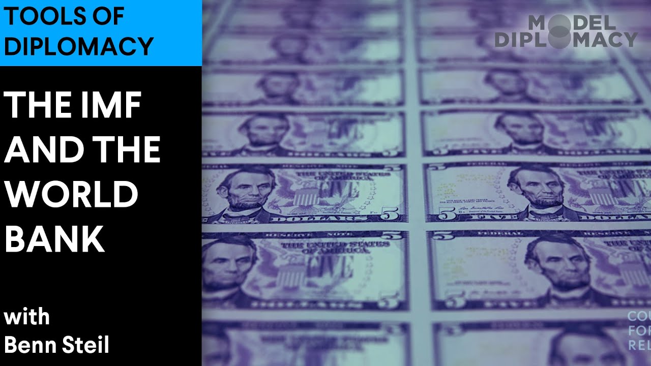 The Role Of International Financial Institutions | Simulation
