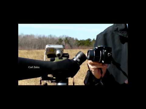 Coosing a Camera for Digiscoping
