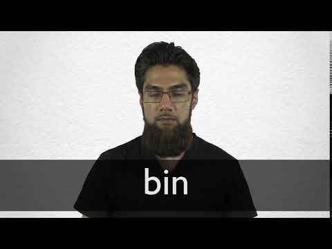 BIN definition in American English | Collins English Dictionary