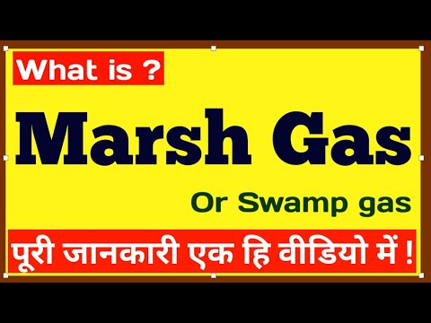 What is marsh gas in hindi | marsh gas kya hota hai | marsh gas meaning | swamp gas in chemistry