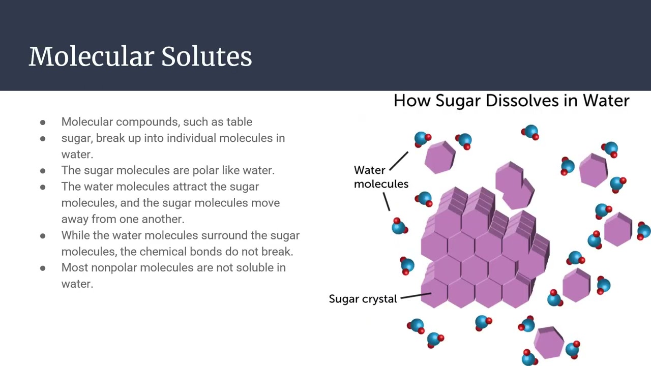 Lesson 1 Mixtures and Solutions