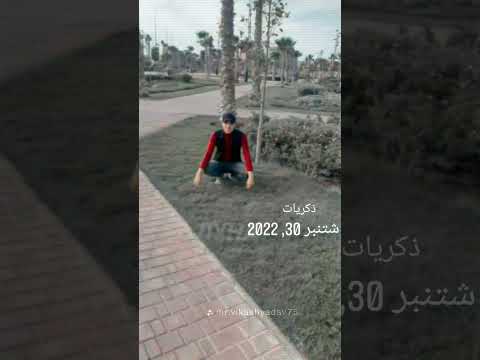 FB VID 3733850459172065514