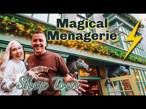 Magical Menagerie Harry Potter SHOP TOUR || Wizarding World of Harry Potter Orlando