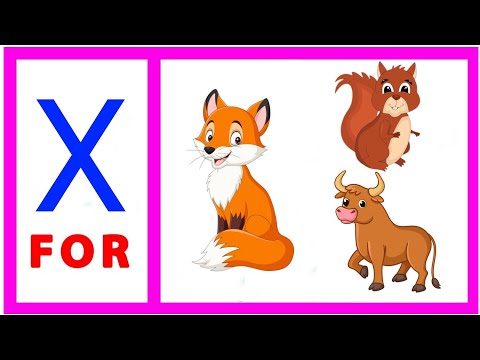 Words that start with Letter X For Kids || X Words Vocabulary || Kids Learning Videos || ABC for kid