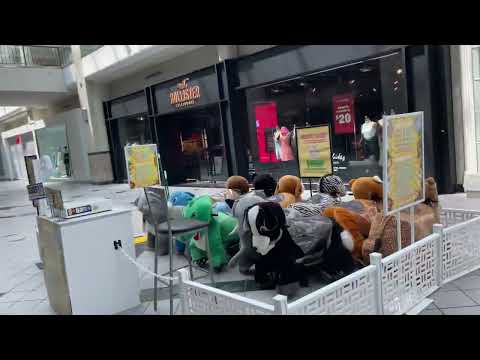Tour of the Attleboro Mall