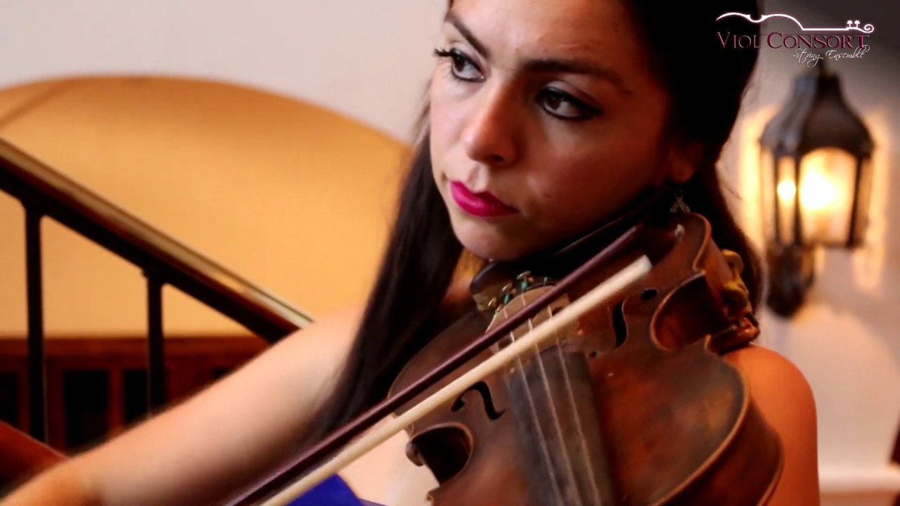 Hire Viol Consort String Quartet - String Quartet in McAllen, TX | GigSalad