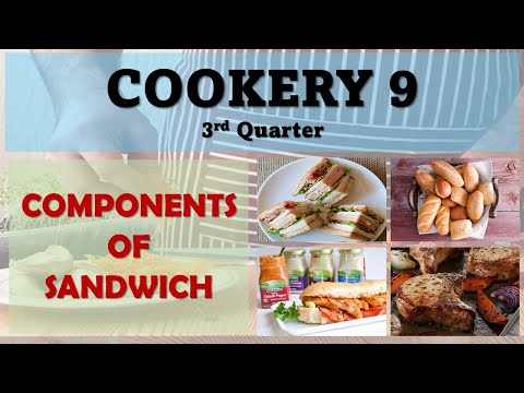 LESSON 3.4 - COMPONENTS OF SANDWICH