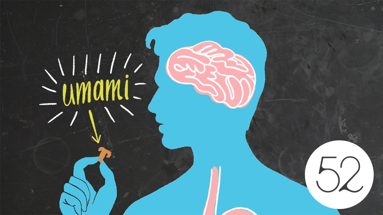 Umami: The 5th Taste, Explained | Food52 + Ajinomoto