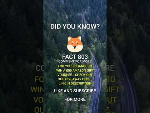 CCD #facts #likeandsubscribe #interestingfacts #factshorts #canine #ocd #compulsive #dogs #animals