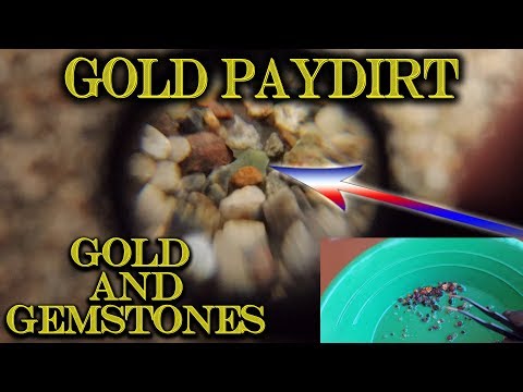 Gold Prospecting at Home #39 - eBay Vendor "BILLLP"