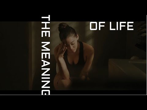 The Meaning Of Life - Phil Gawen (Official Music Video) aoc storyblocks