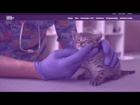 Humane Society Donation