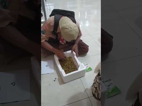 PEAKTEK P5RA ( Profil pendidikan Pancasila dan program penguatan )