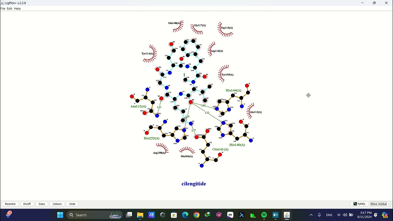 How to use LigPlot software?🤔