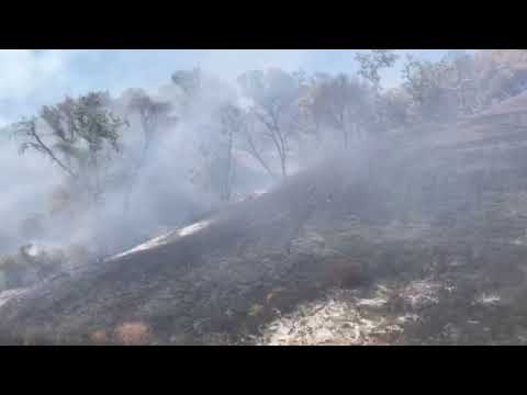 Fire along Highway 101 north of Ukiah 7/21/2018 5pm