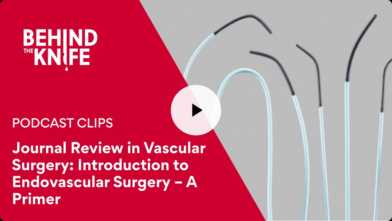 Journal Review in Vascular Surgery: Introduction to Endovascular Surgery – A Primer