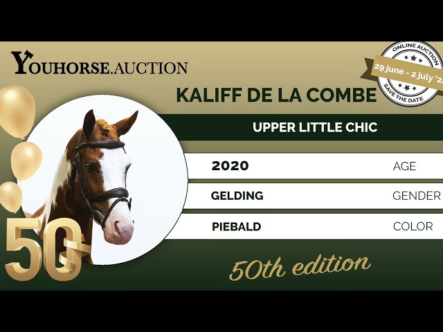 Youhorse.auction | Kaliff de La Combe