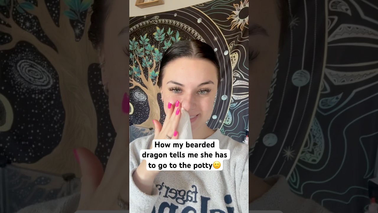 This one made me JUMP😂🫣 #cutepets #pet #beardeddragon #reptiles #lizard #livszoo #lucythedragon