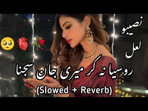 Aenwey Rusia Naa Kar Meri Jaan Sajna (Slowed + Reverb) | 🥺💔 روسیا نہ کر میری جان سجنا | سرائیکی سونگ