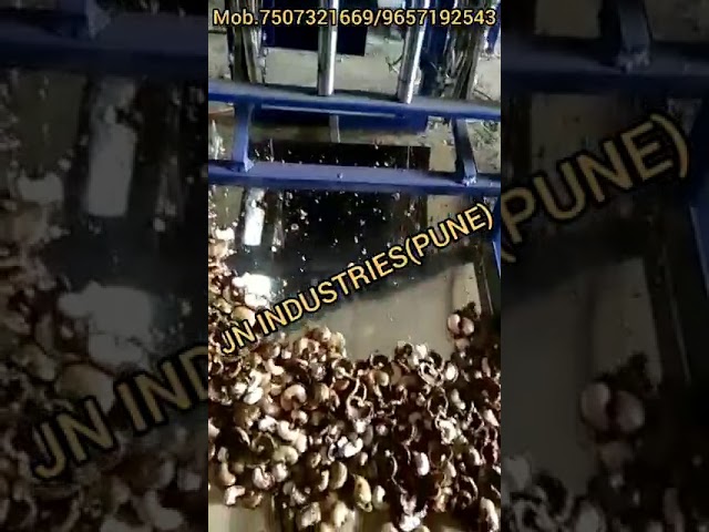 Cashew Nut Processing Plant - Automatic Cashew Nut Cutting Machine ...