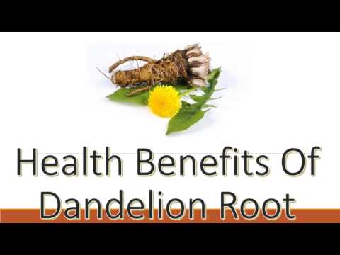 7 Amazing health benefits of dandelion root