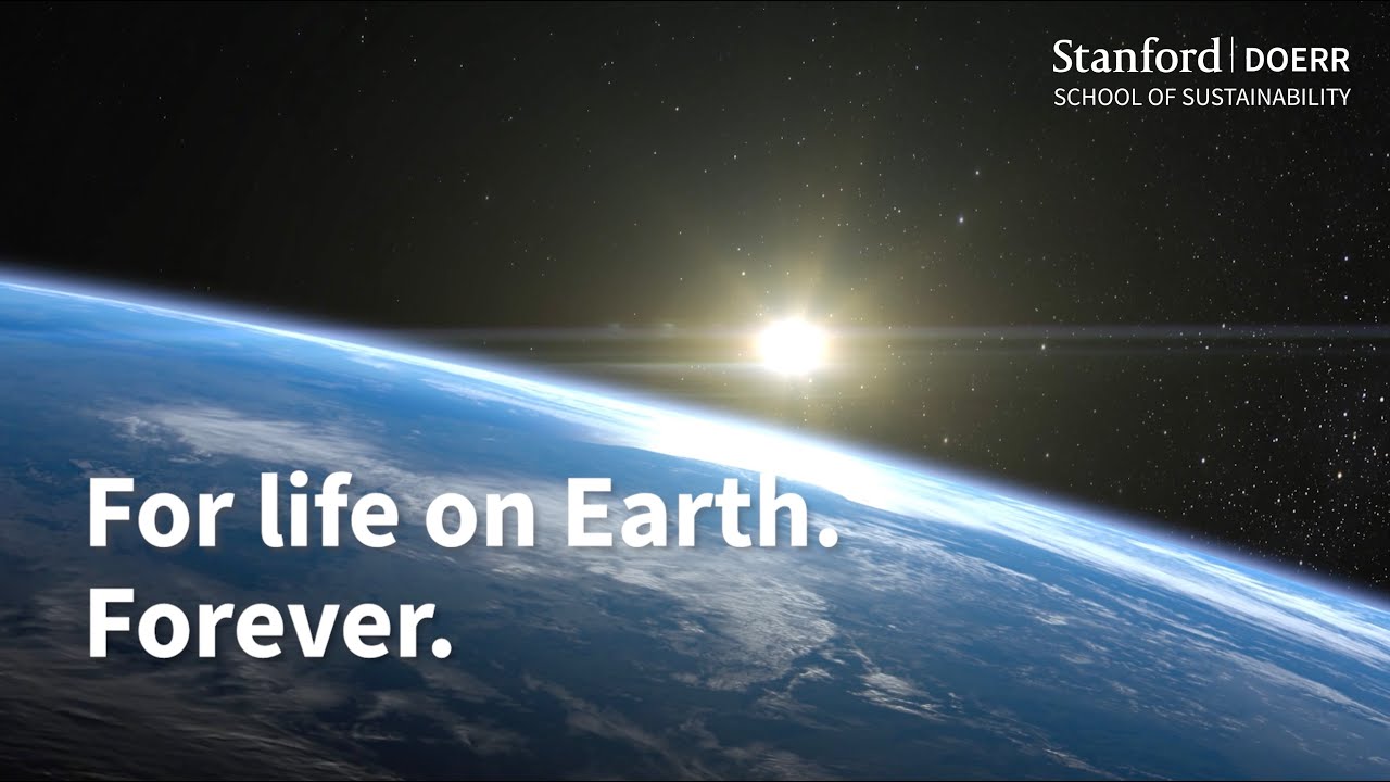 The Stanford Doerr School of Sustainability: Who we are
