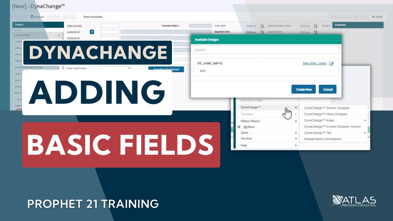 How to add basic Dynachange Fields in Prophet 21 🏗️🧰