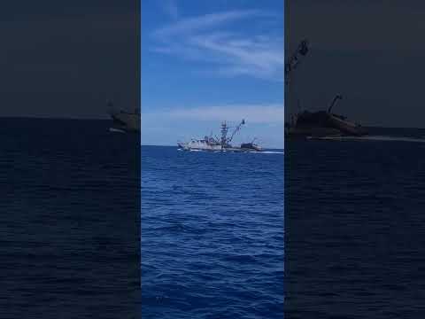 Purse Seiner ( Taiwan boat )