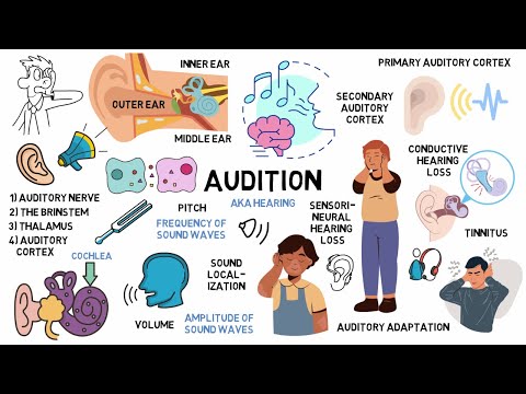 Audition (Hearing)