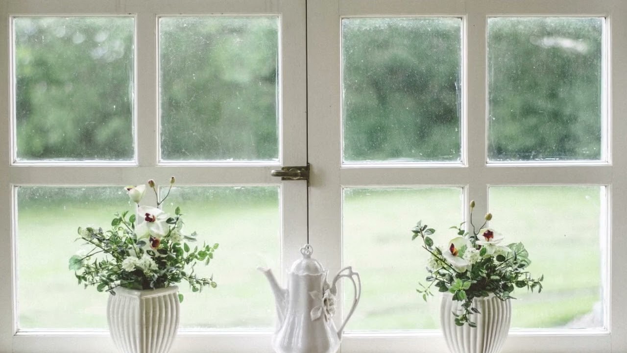 Unleash Your Creativity with Decorative Window Film in Chicago