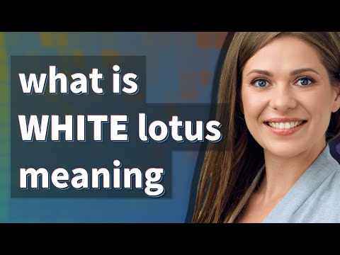 White lotus | meaning of White lotus