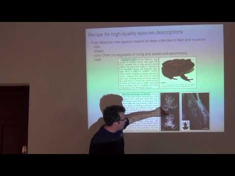 BITC / Species Descriptions - Example Frog I